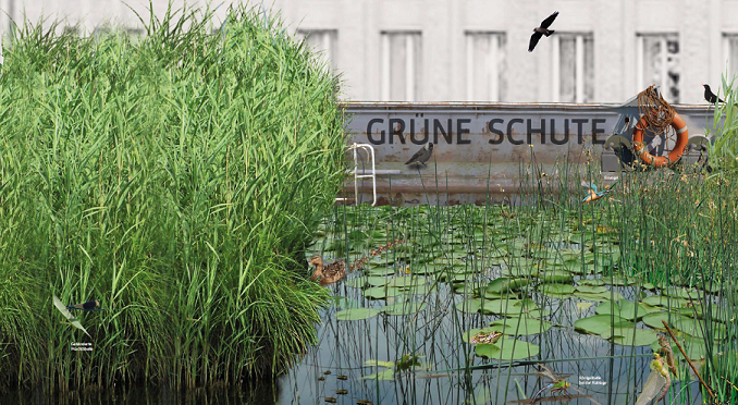 "Grüne Schute" – Lebensraum Hamburger Fleete | Hamburg Neustadt